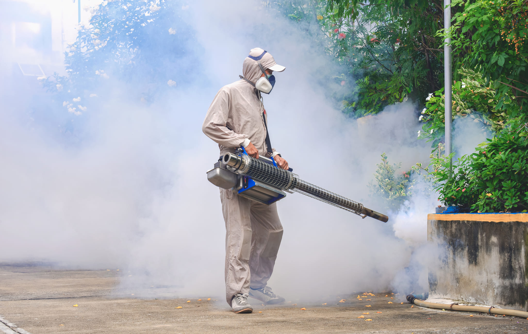 Mosquito Fogging & Pest Control Singapore | EcoSpace Pest